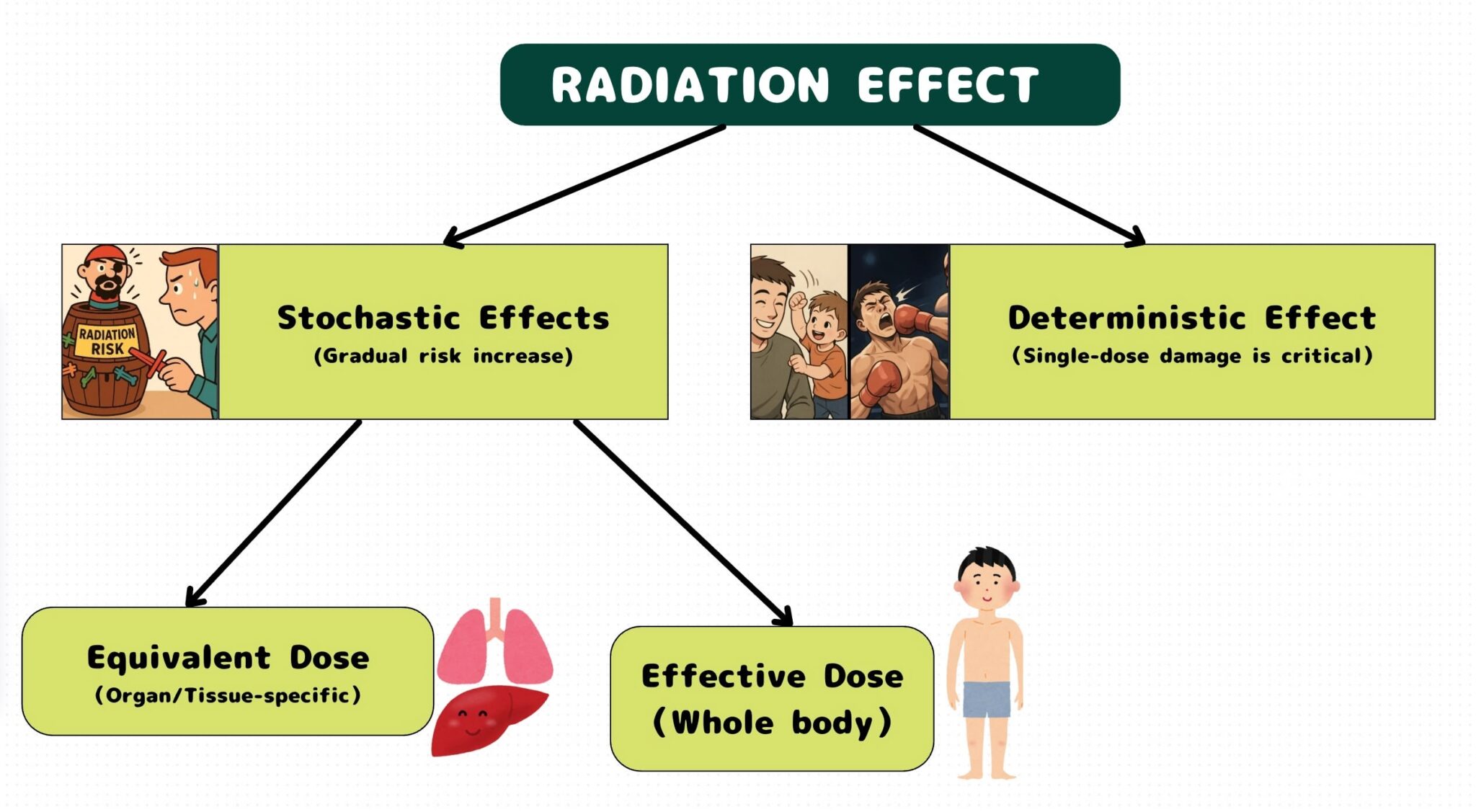 ☢️ Radiation Dose, Effects, and Dose Limits: Effective vs Equivalent ...