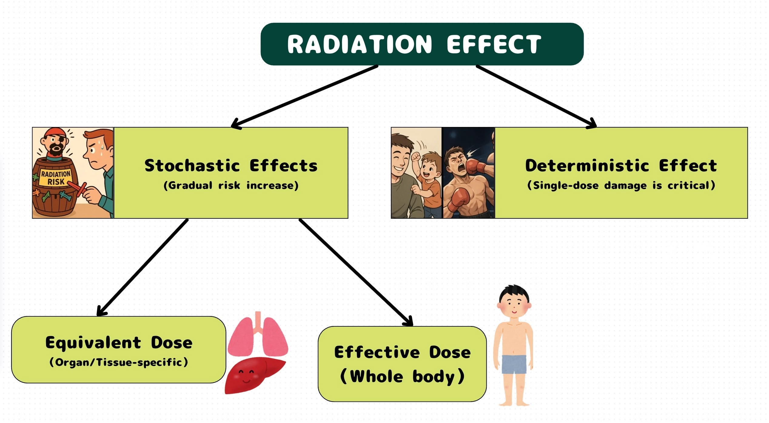 ☢️ Radiation Dose, Effects, and Dose Limits: Effective vs Equivalent ...